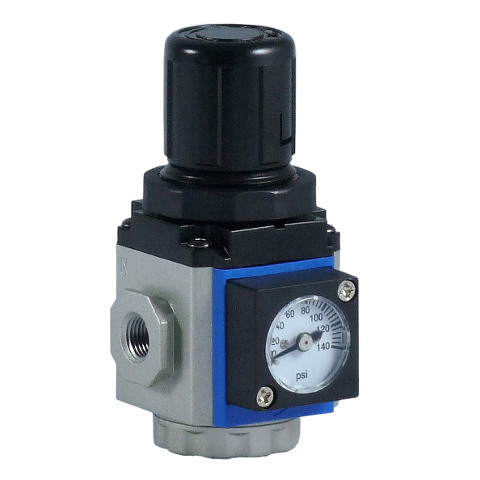 Pressure Regulator with Reverse Flow | Pressure Regulator with Reverse Flow
