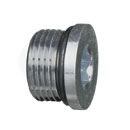 Hex Socket ORB Plug, Stainless Steel